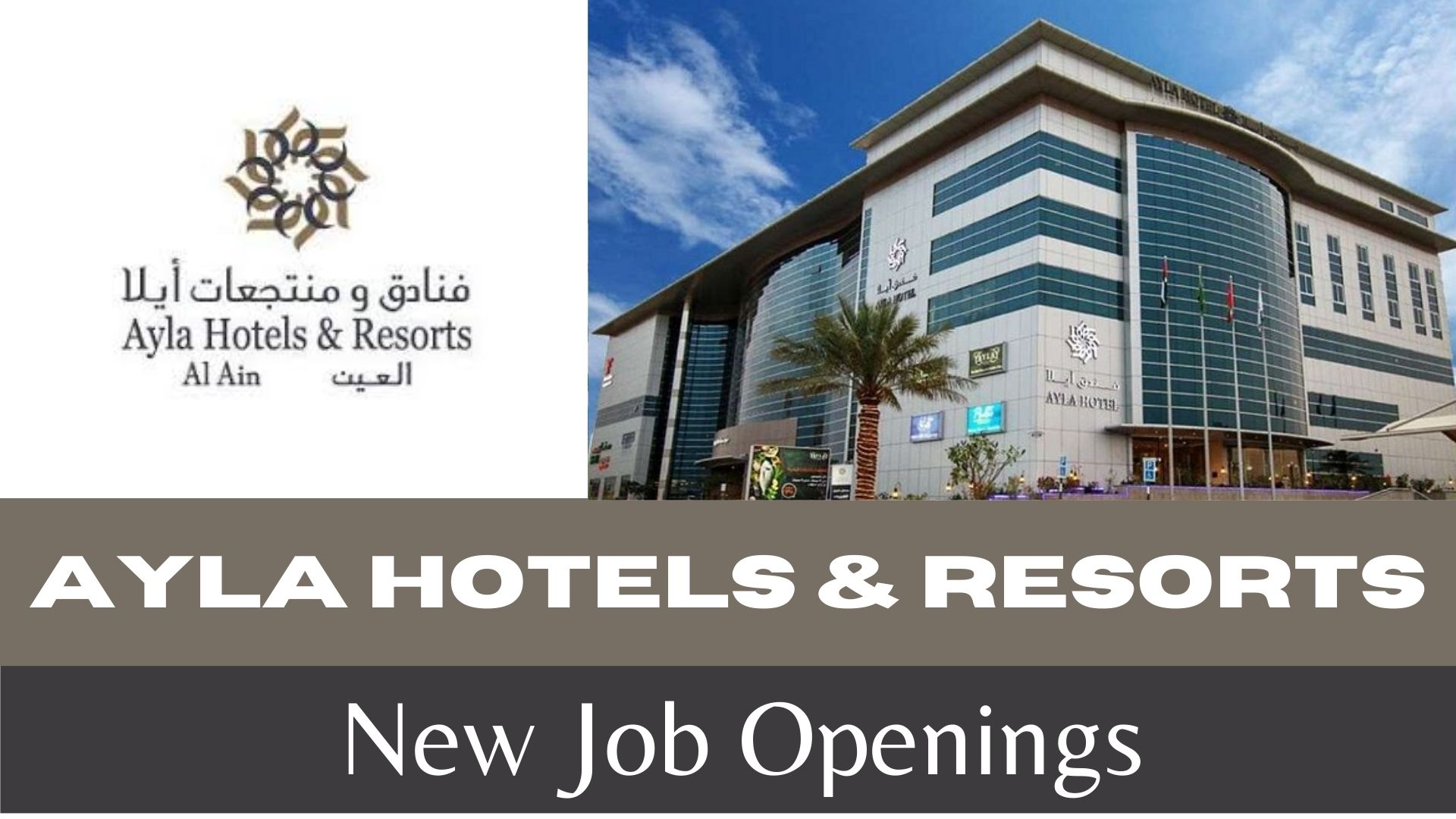 Ayla Hotels & Resorts New Job Openings | Apply Now