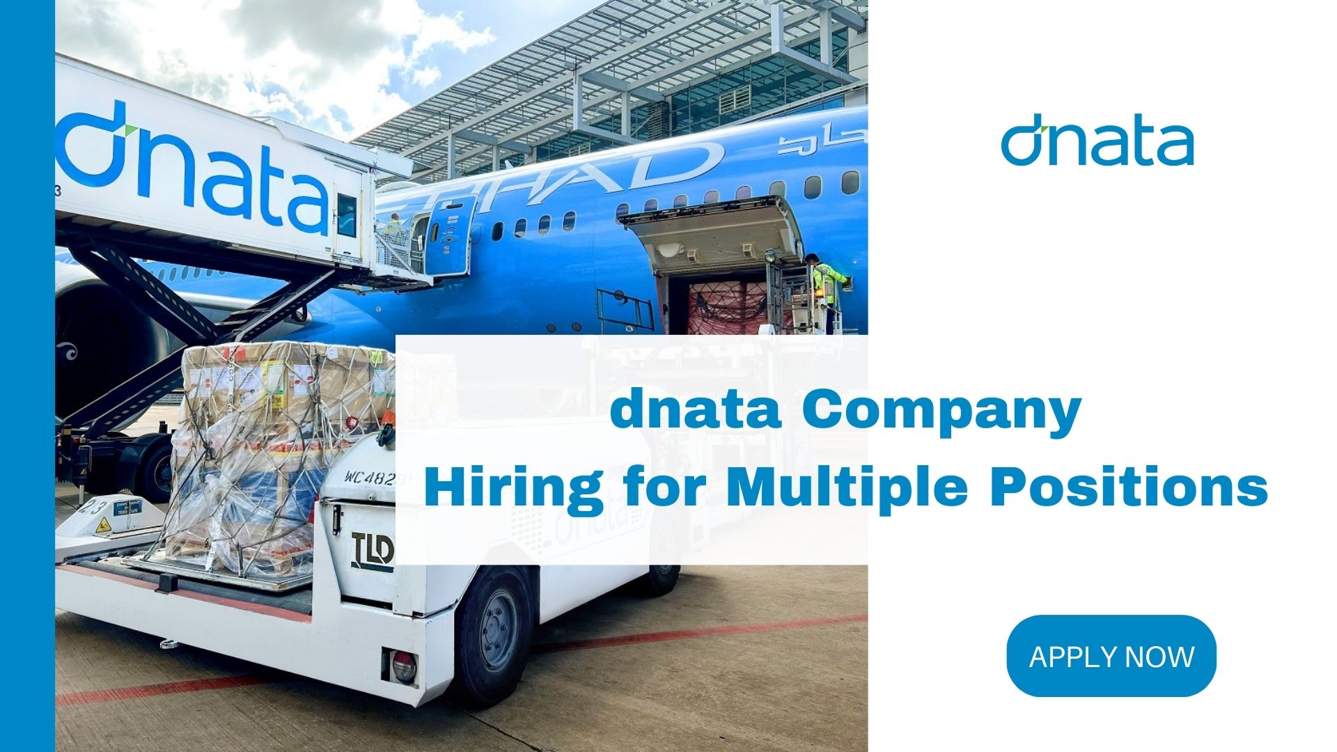 dnata Company Hiring for Multiple Positions | Join Now