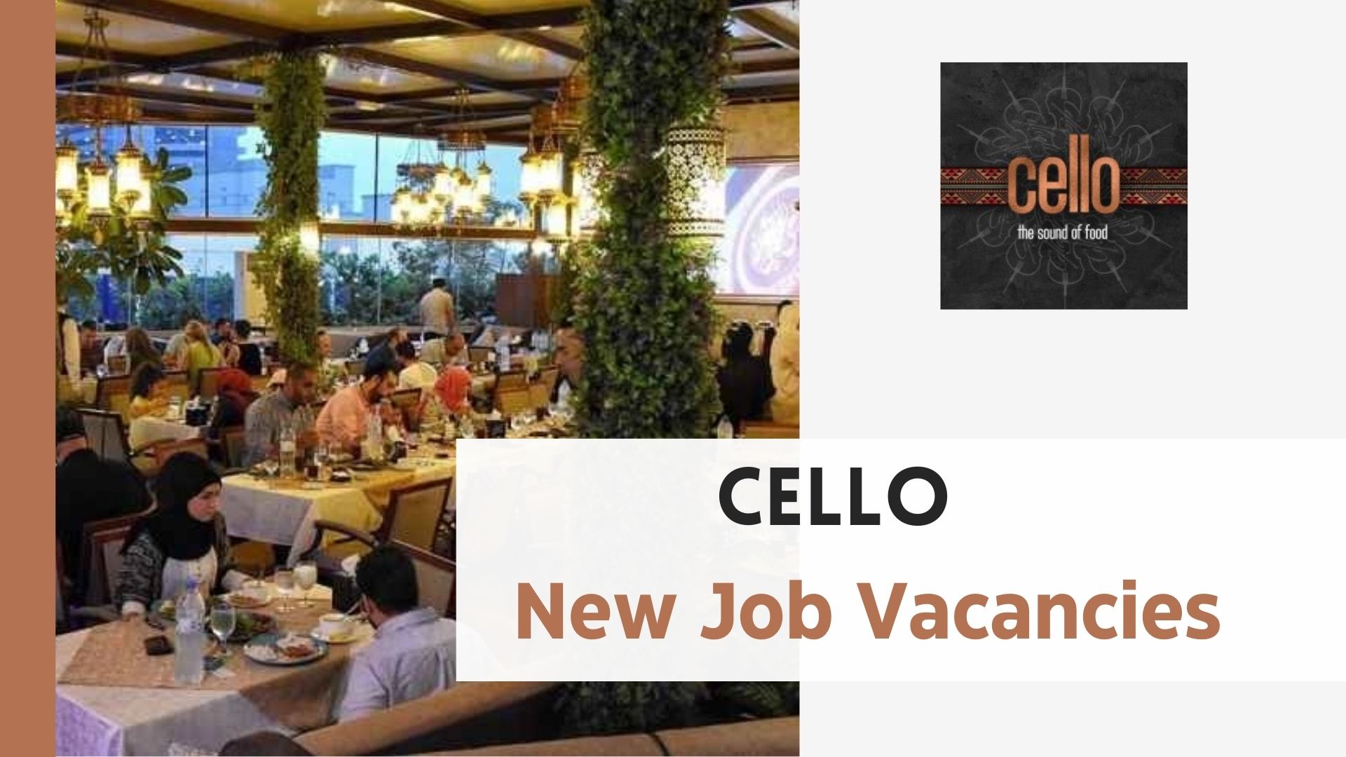 Cello Announced New Job Vacancies | Apply Today