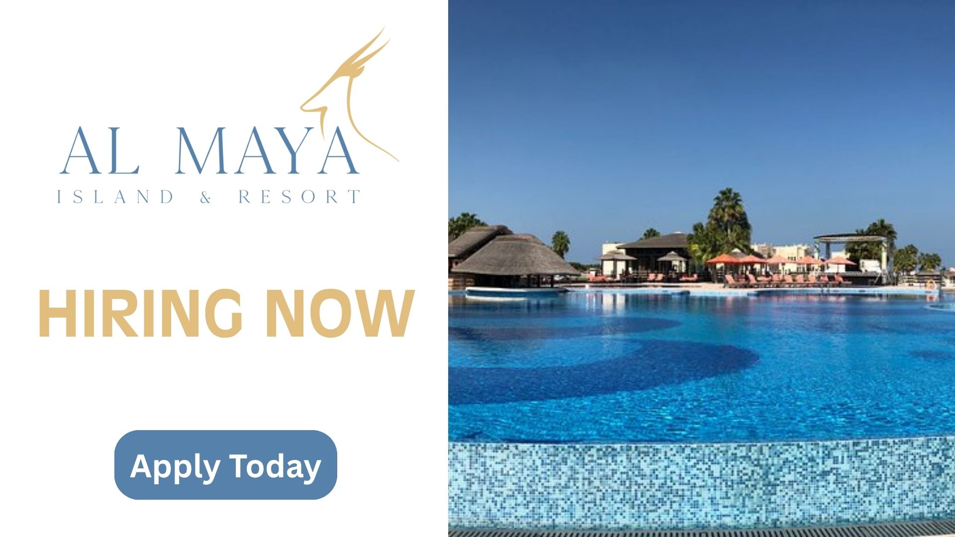 Al Maya Island & Resort Latest Job Vacancies - Cazajobz